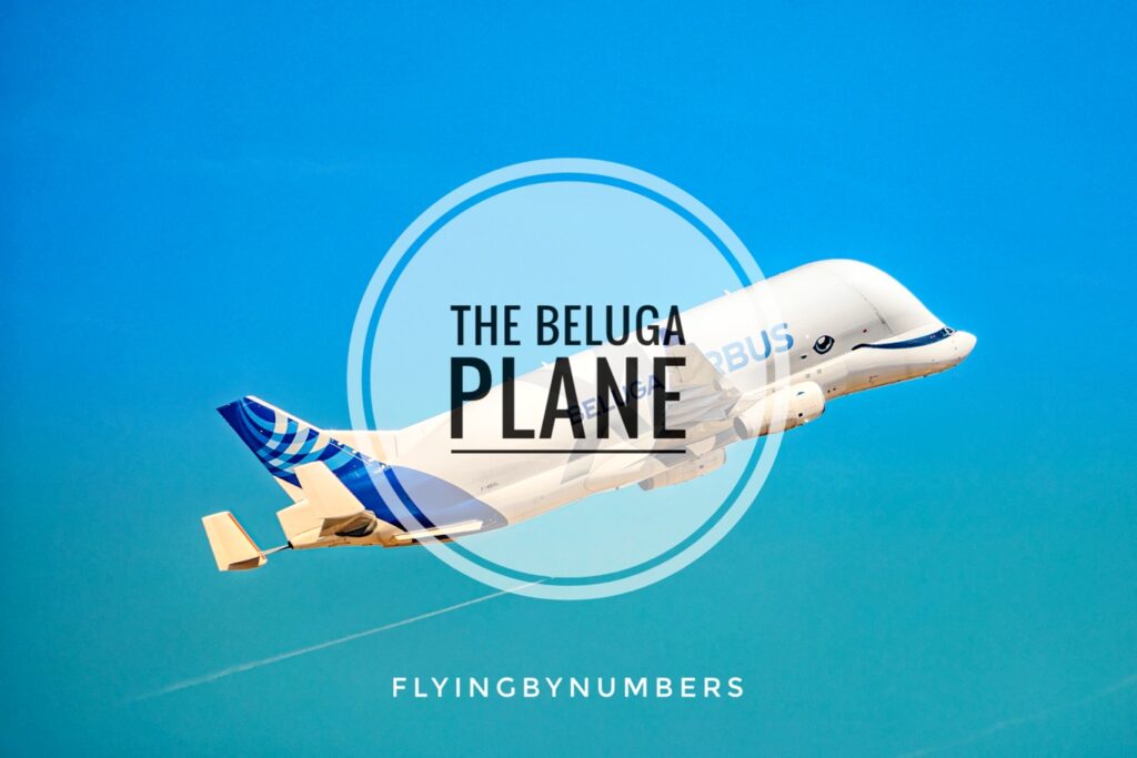 The Beluga Plane: The World’s Strangest Shaped Plane | flyingbynumbers.com